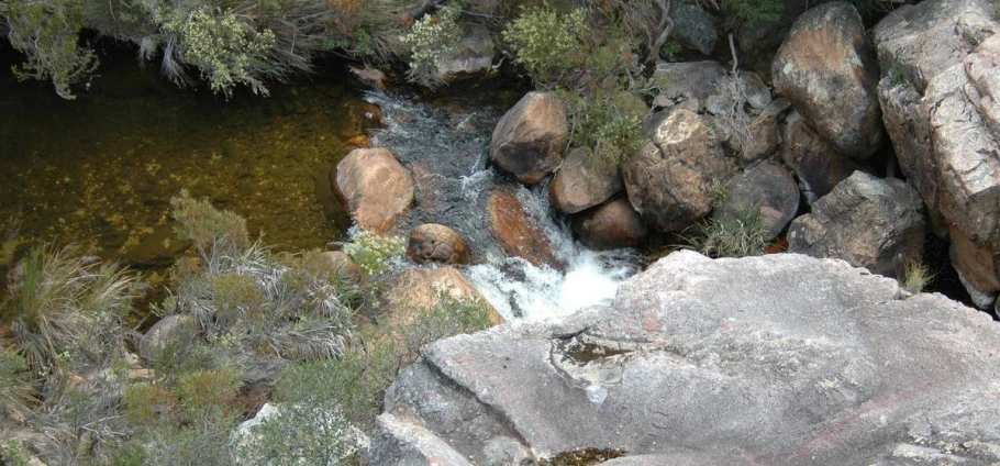 Ceres Valley Zipline Adventure Experience Days Vouchers - Experience Days