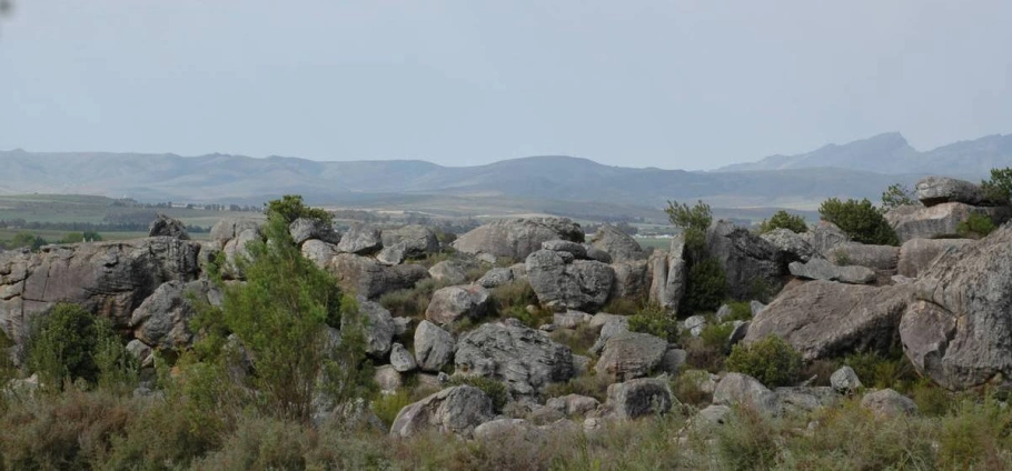 Ceres Valley Zipline Adventure Experience Days Vouchers - Experience Days