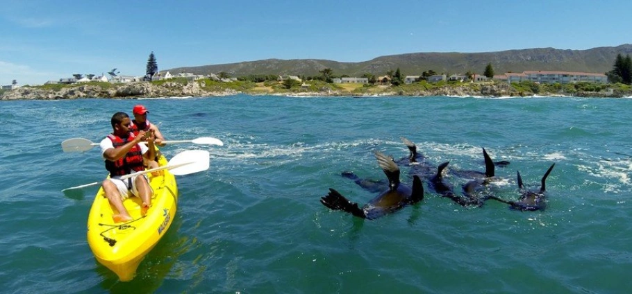 Sea Kayaking Experience in Hermanus Experience Days Vouchers ...
