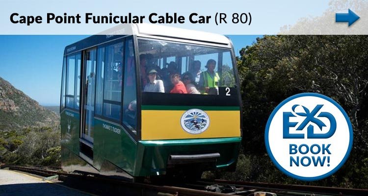 8 Unique Sightseeing Tours in Cape Town - Experience Days