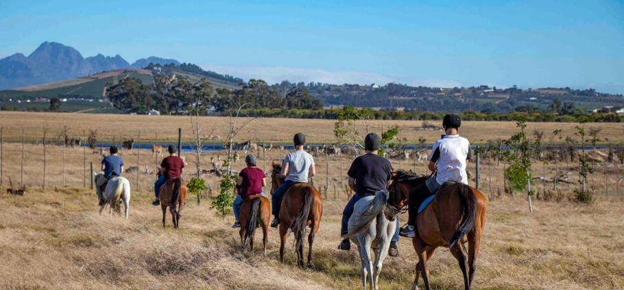 Unique Experiences Cape Town, Things to Do in Cape Town - Experience Days